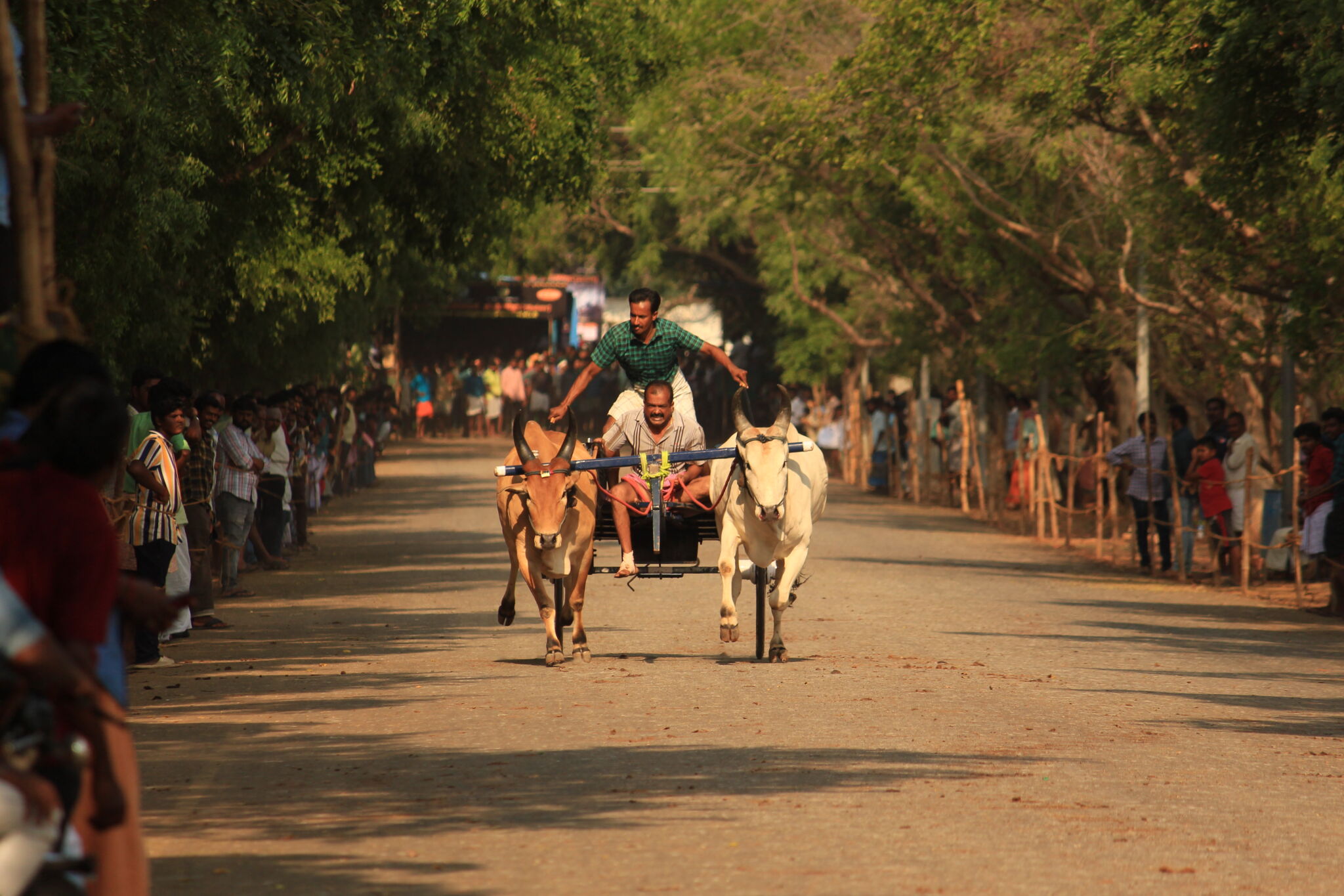 KPR CAS – KPR College of Arts Science and Research